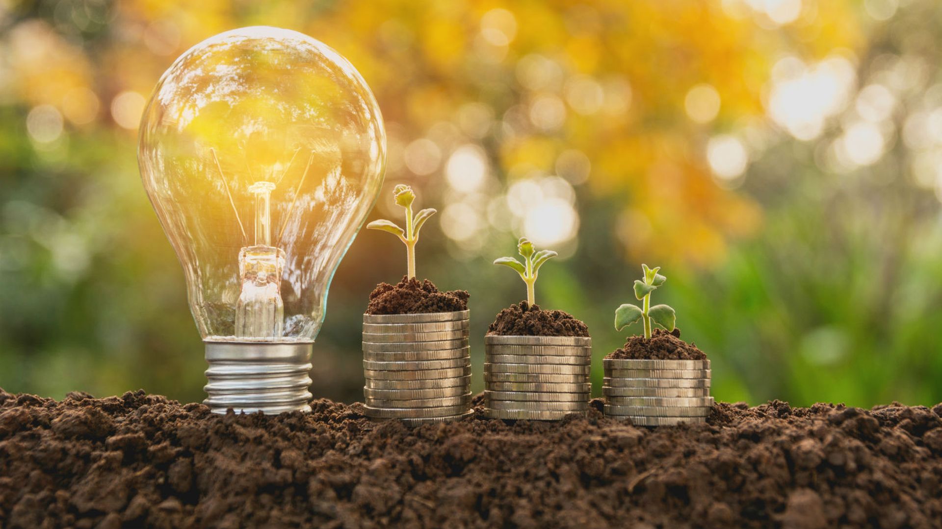 Osam pokazatelja da ste inteligentniji nego što mislite