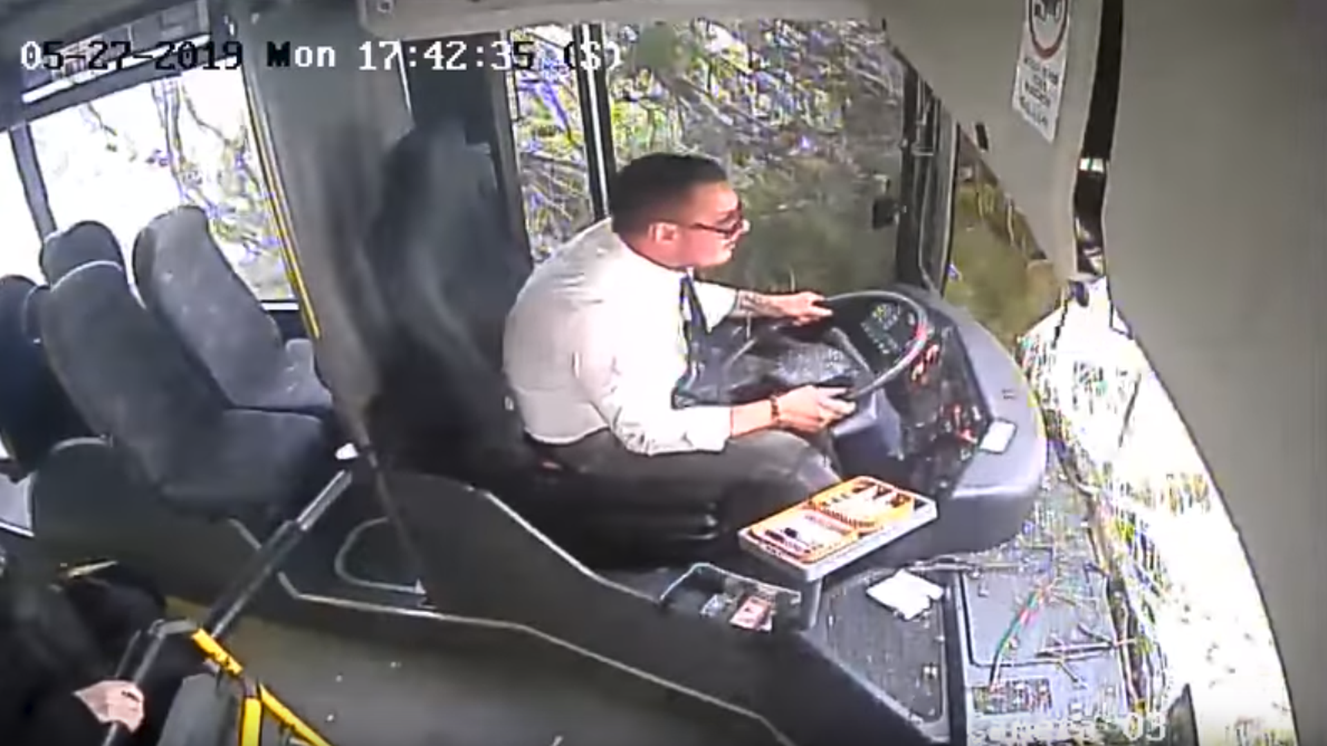 Zastrašujuća snimka iz autobusa na koji je palo stablo: ''Ka bomba je ...
