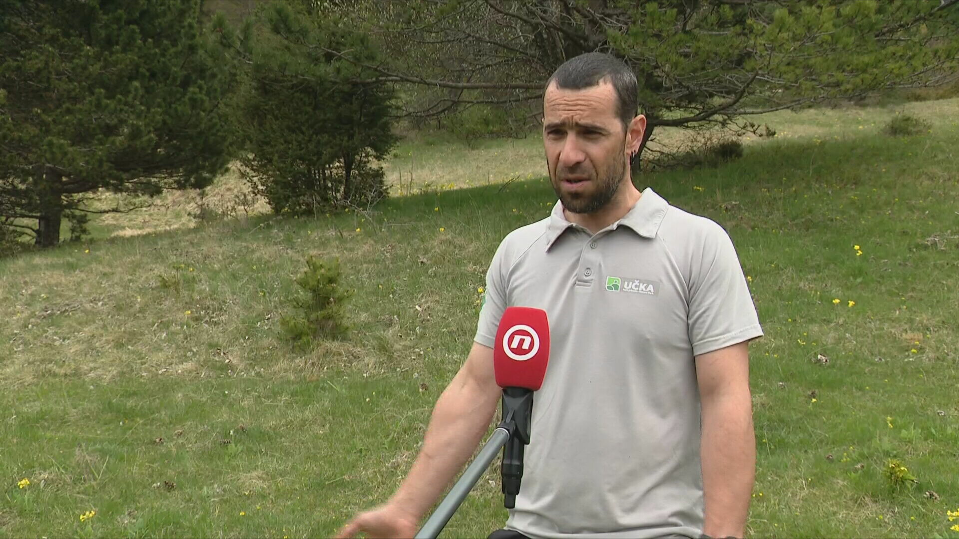 Počela sezona opasnih krvopija: Prenose niz zaraznih bolesti - "Sa ...