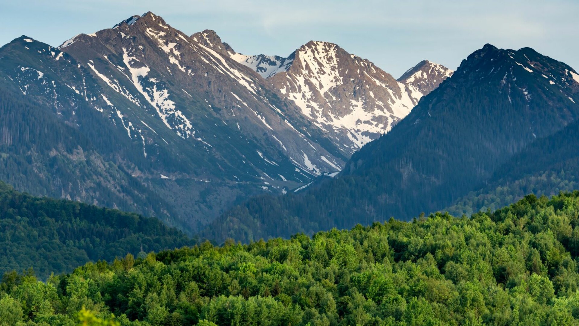 Online knjižnica zvukova prirode