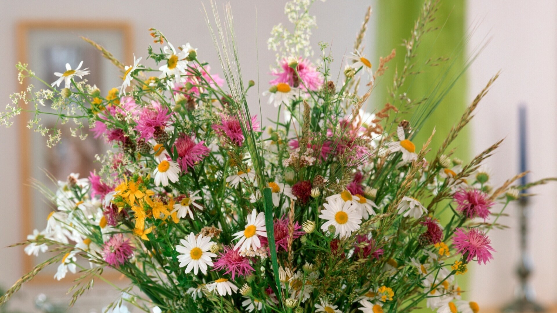 Sedam dokaza da je poljsko cvijeće jednako posebno kao i ono iz cvjećarnice