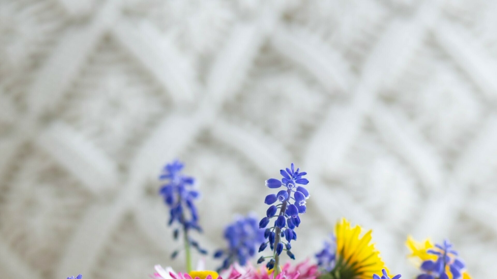 Sedam dokaza da je poljsko cvijeće jednako posebno kao i ono iz cvjećarnice