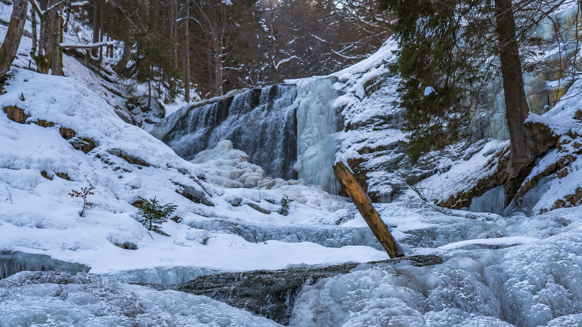 Šumski raj: Pogledajte kako izgledaju predivni slapovi Kozice