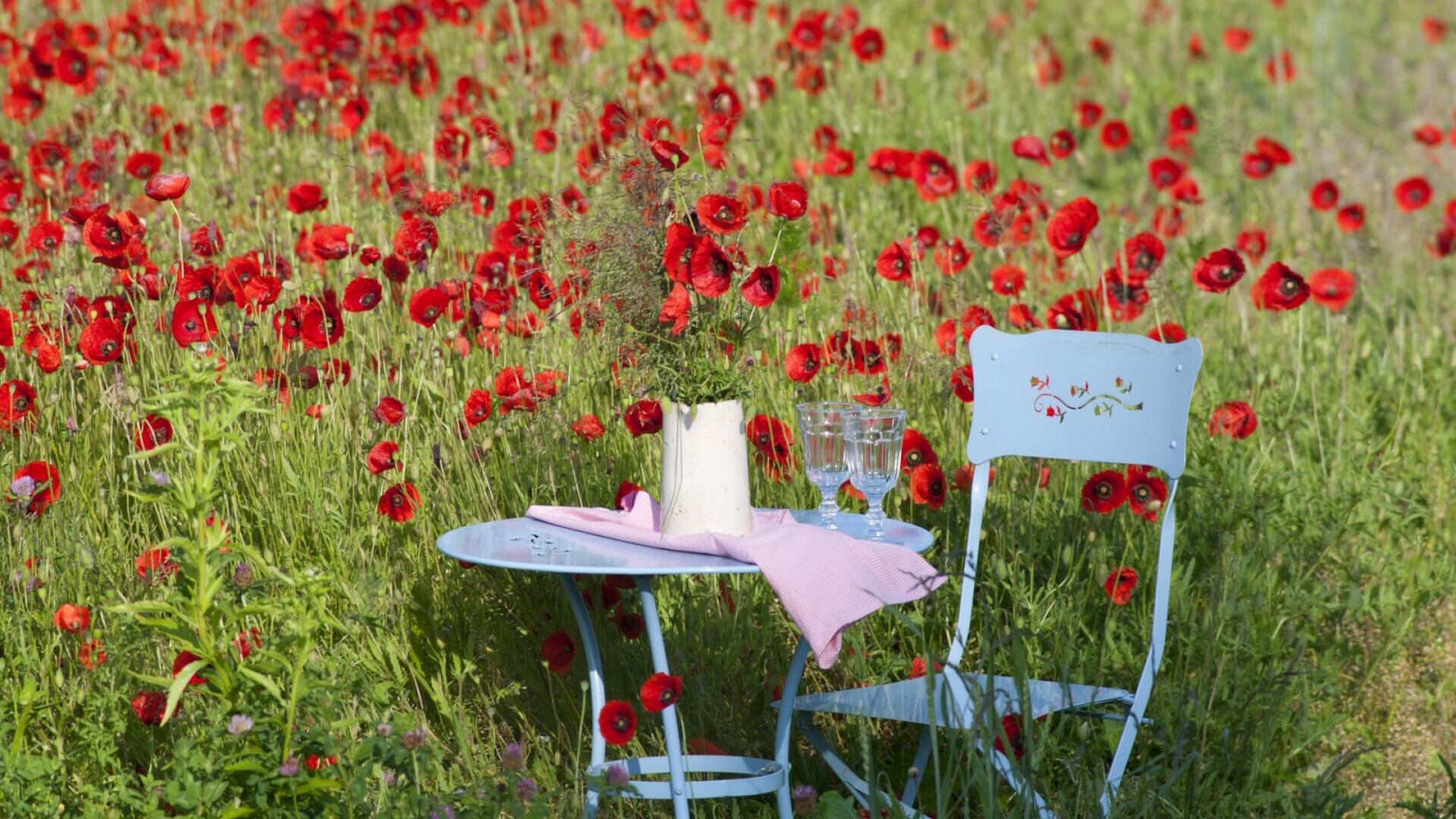 Iako korov, mak je prekrasan cvijet koji ima i ljekovita svojstva