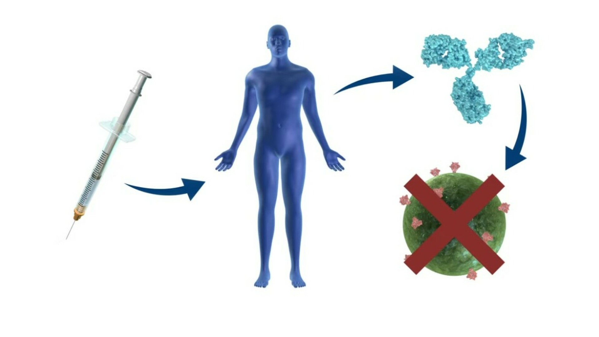 Razvijeno revolucionarno cjepivo koje pokreće dosad teško uhvatljiva ...