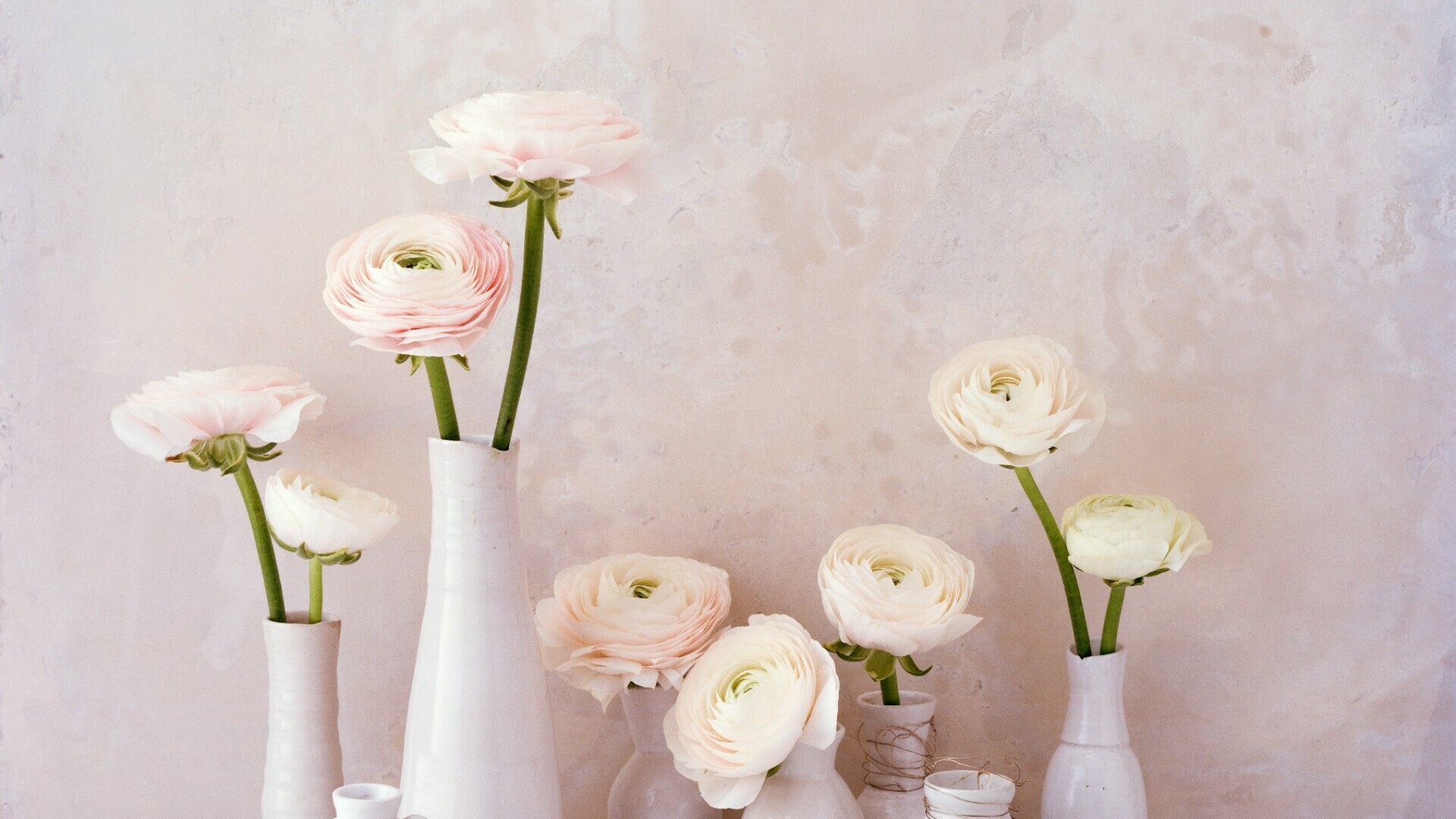 15 fotografija koje ćete pogledati, a onda otići po ranunkule za svoj dom