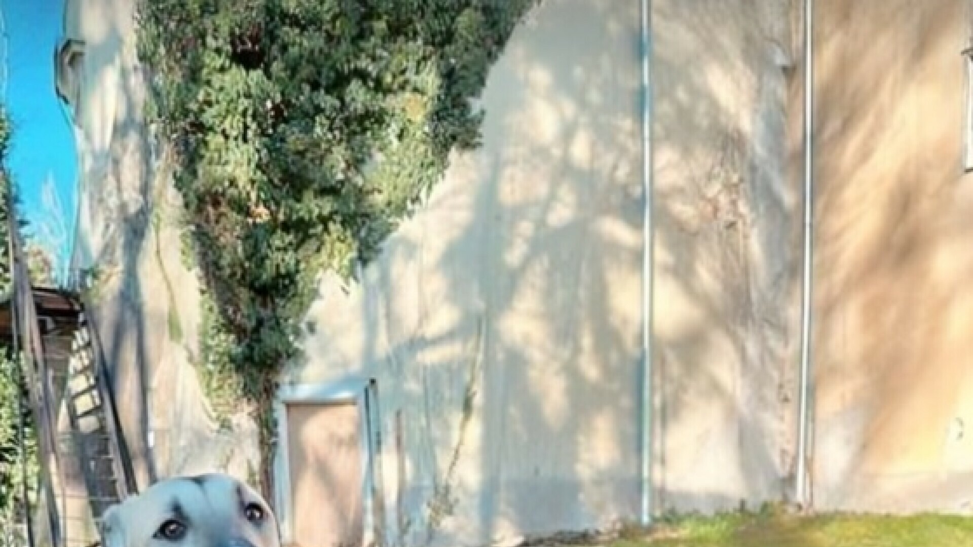 Gvardiol objavio djelić prizora iz obiteljskog vrta i pokazao što radi ...