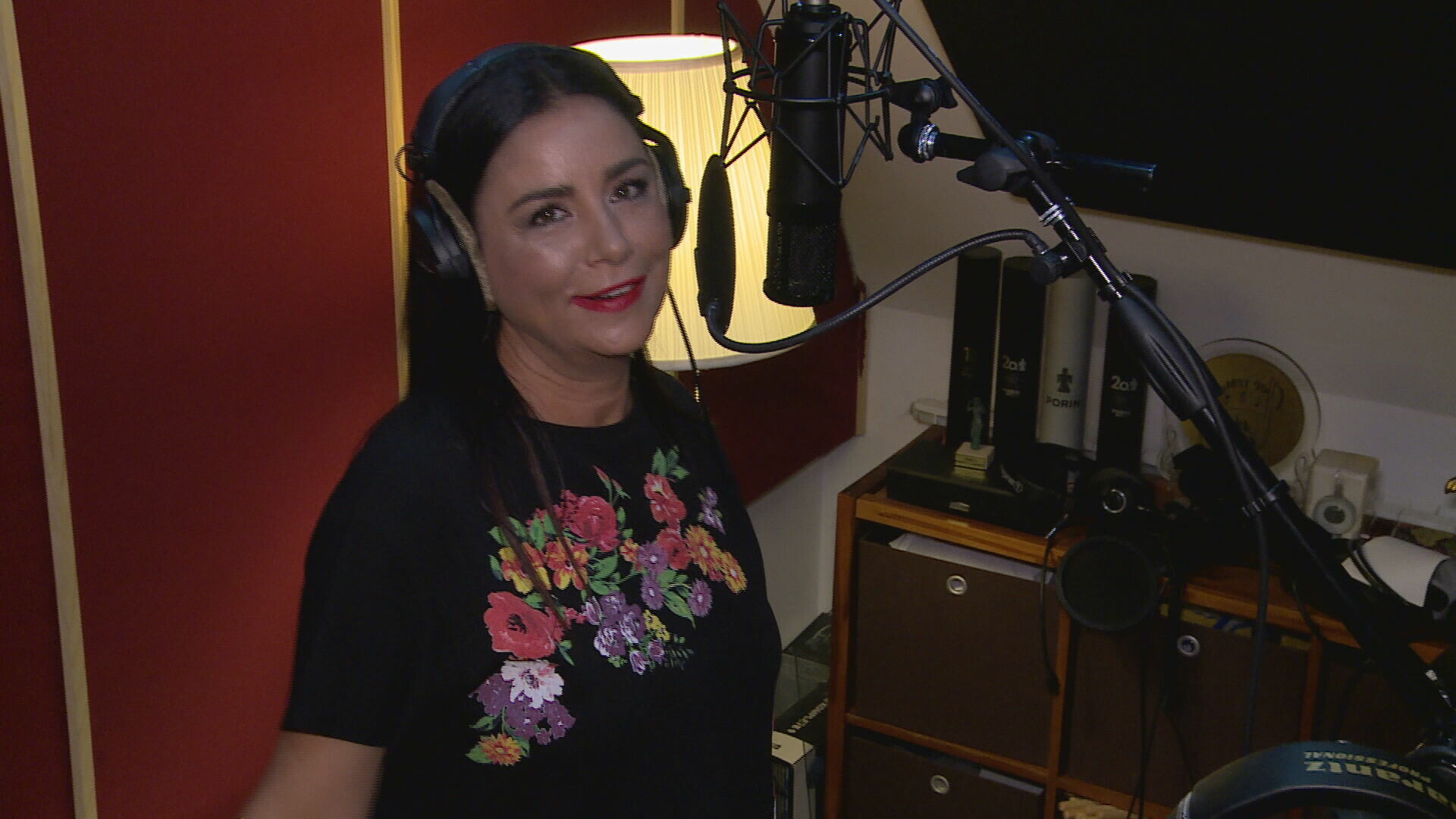 Alka Vuica otkrila kako su nastali hitovi koje je napisala Grdoviću, Cetinskom, Josipi Lisac i ...