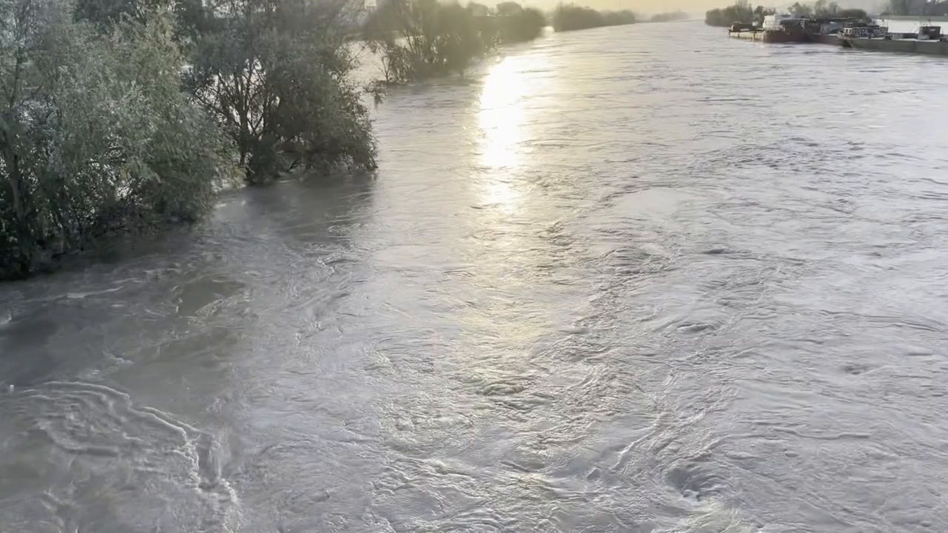 Vodostaj rijeke Save