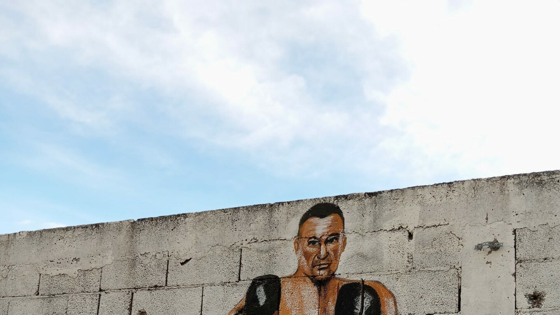 FOTO Prekrasan mural u Kninu: Velikani hrvatskog sporta ukazali se na ...