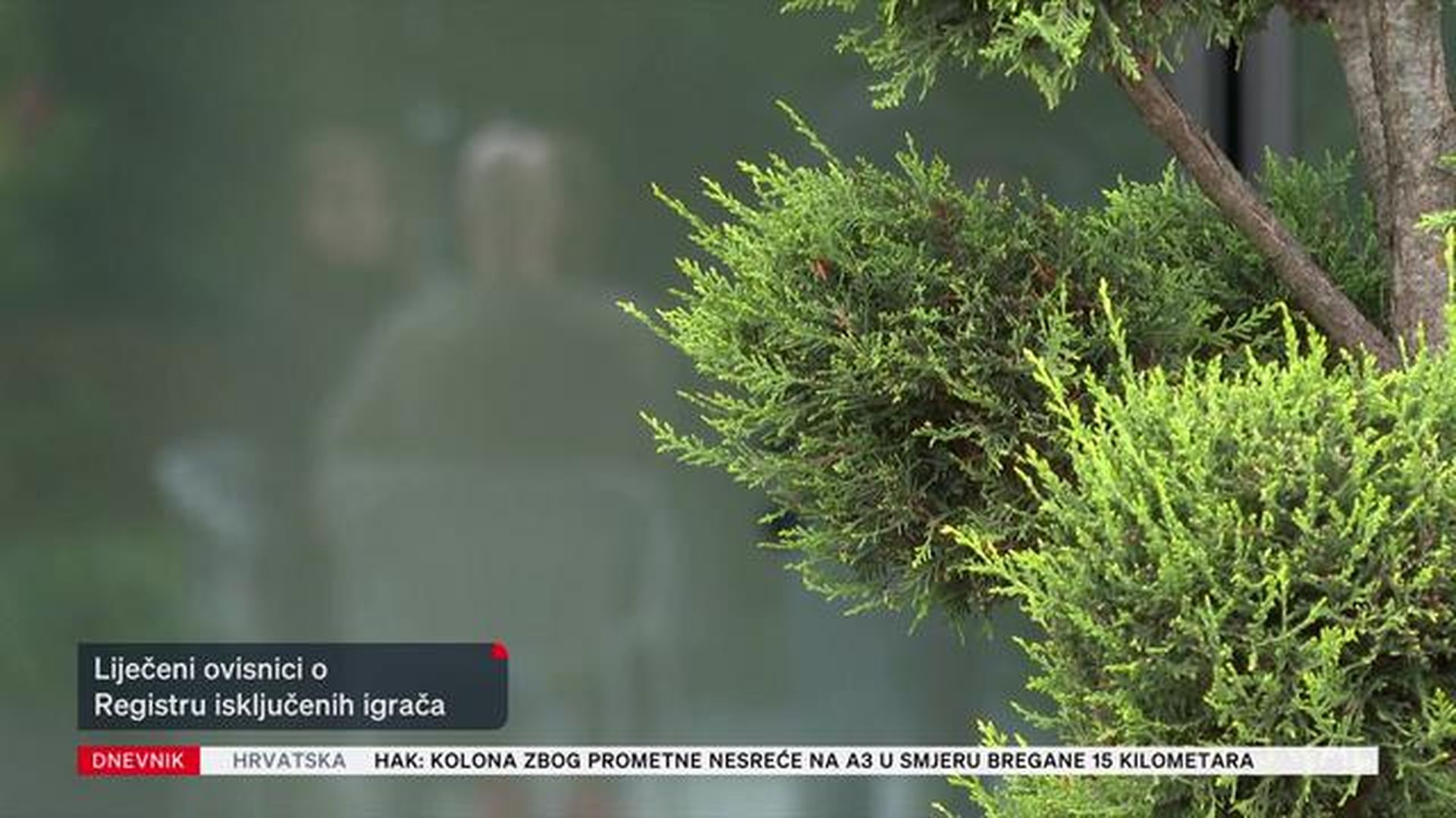 Liječeni ovisnici o problemu kockanja