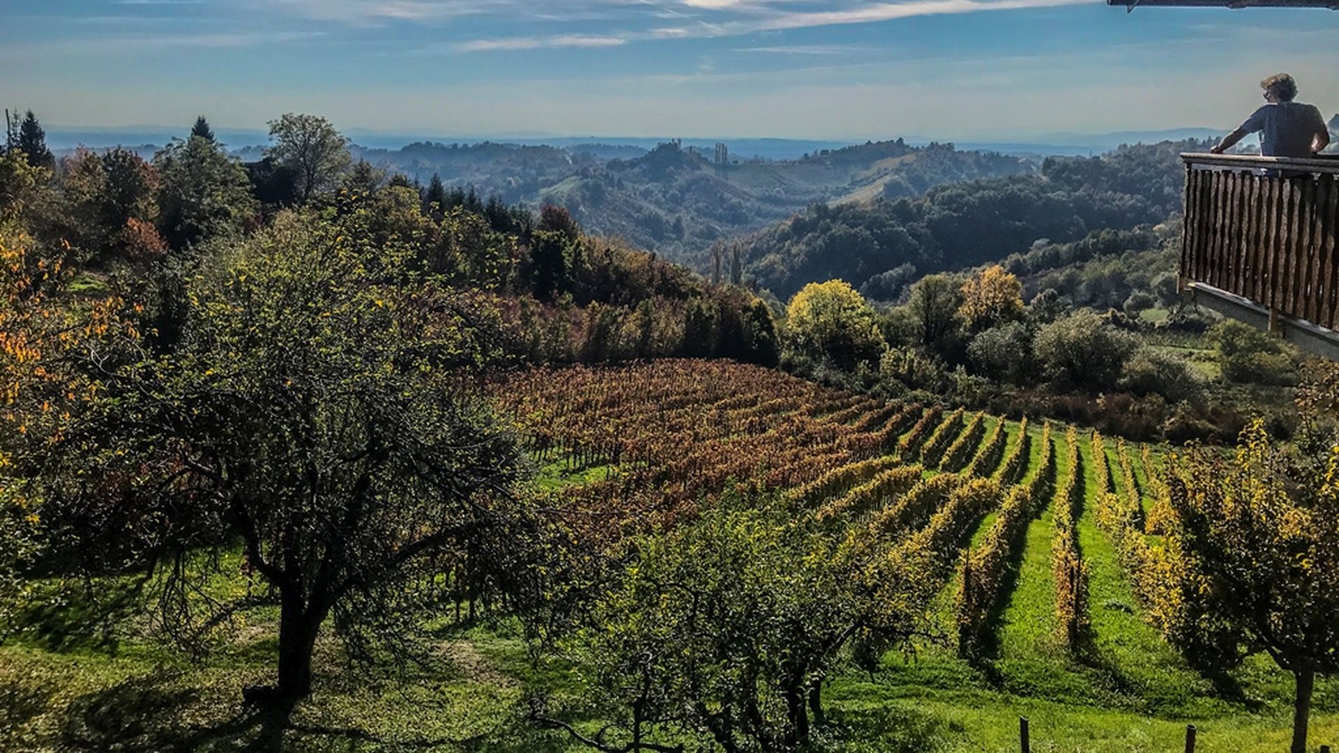 Simpatična Jaska osvojila je ekipu Coolturista: Dobra hrana, lijepa ...