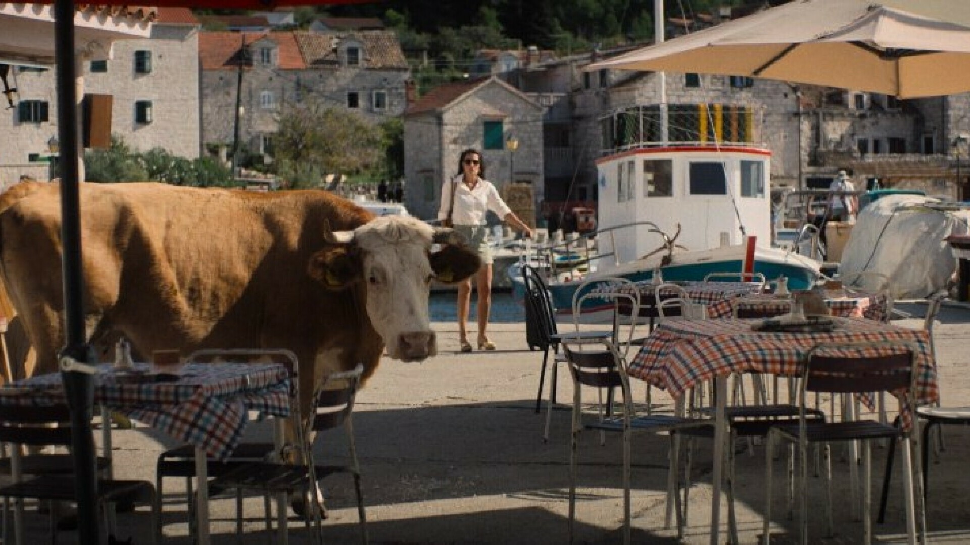 Film Danisa Tanovića ''Nakon ljeta'' nominiran za nagradu Oscar ... Film Danisa Tanovića ''Nakon ljeta'' nominiran za nagradu Oscar ...