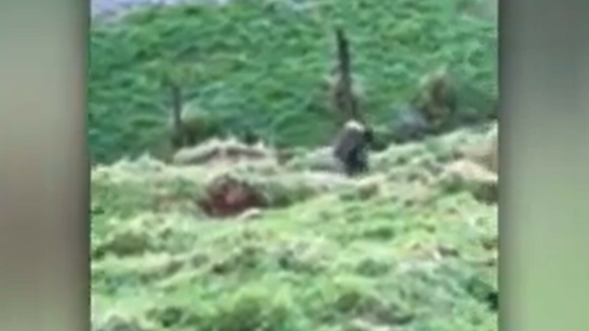 Misteriozna djevojka pomaže ocu koji se s djecom četiri godine skriva u ...