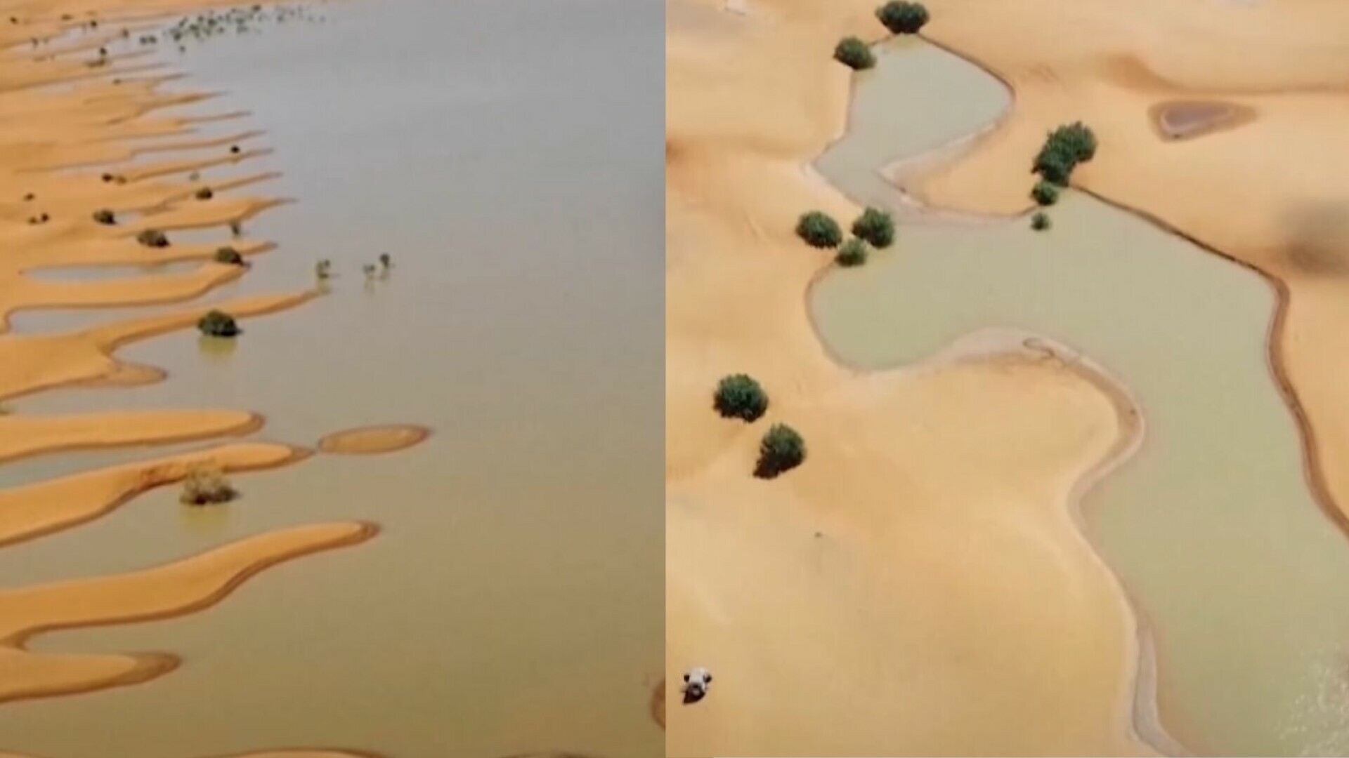 Sahara preplavljena vodom! Pogledajte događaj koji se vidi jednom u 50 ...