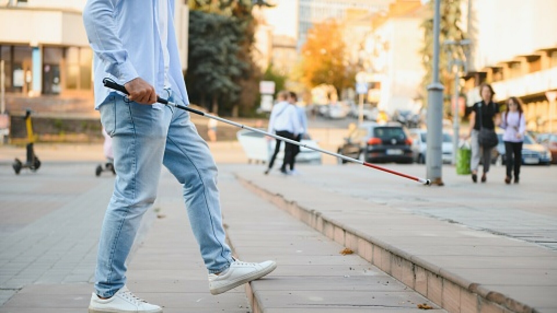 Sljepoća ili slijepoća