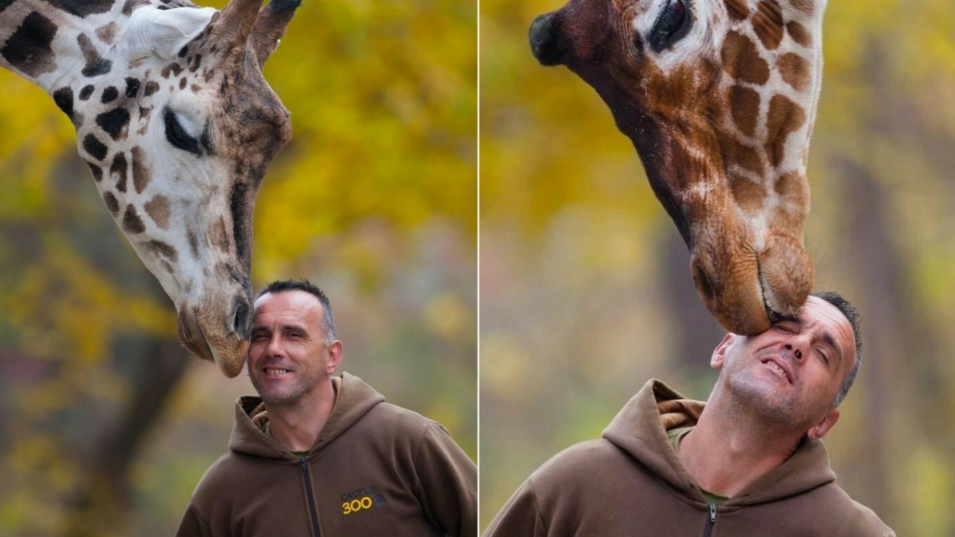Nevjerojatna priča o prijateljstvu čovjeka i životinje! Čuvar Riste i ...