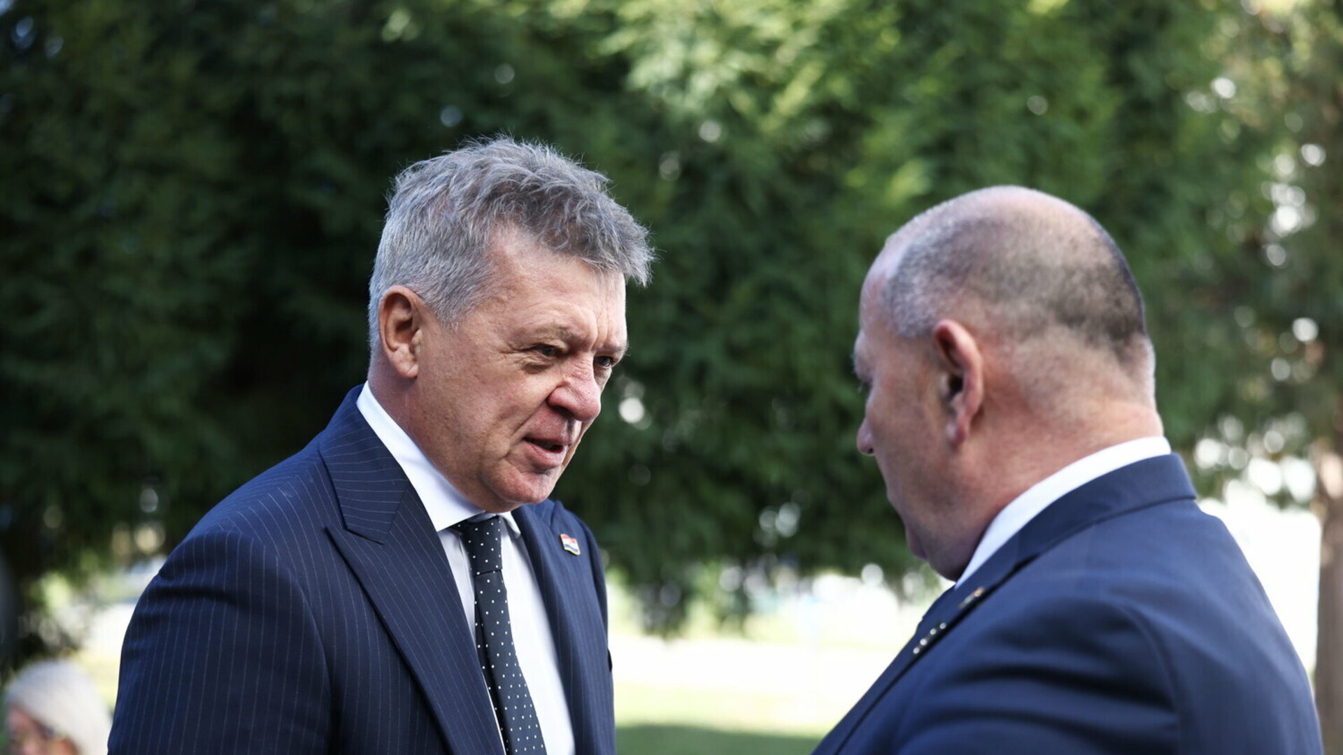 Medved o identifikaciji u Vukovaru