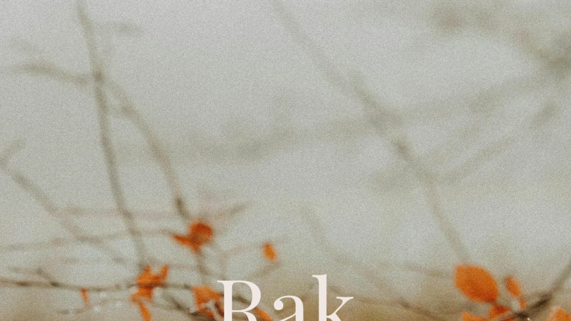 Tjedni horoskop za raka: Toplina doma i male radosti