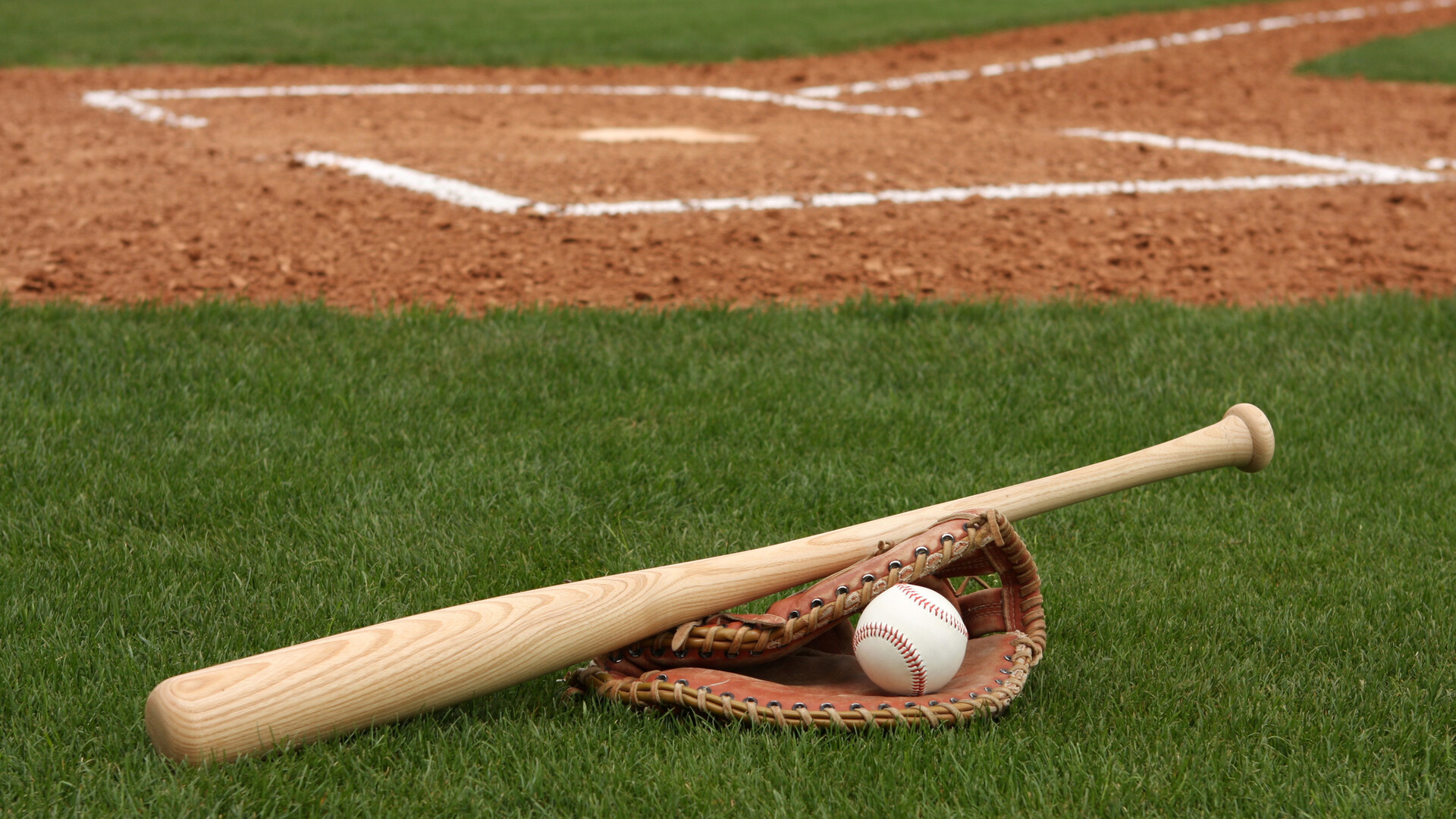 Bejzbol palica ili bejzbolska palica