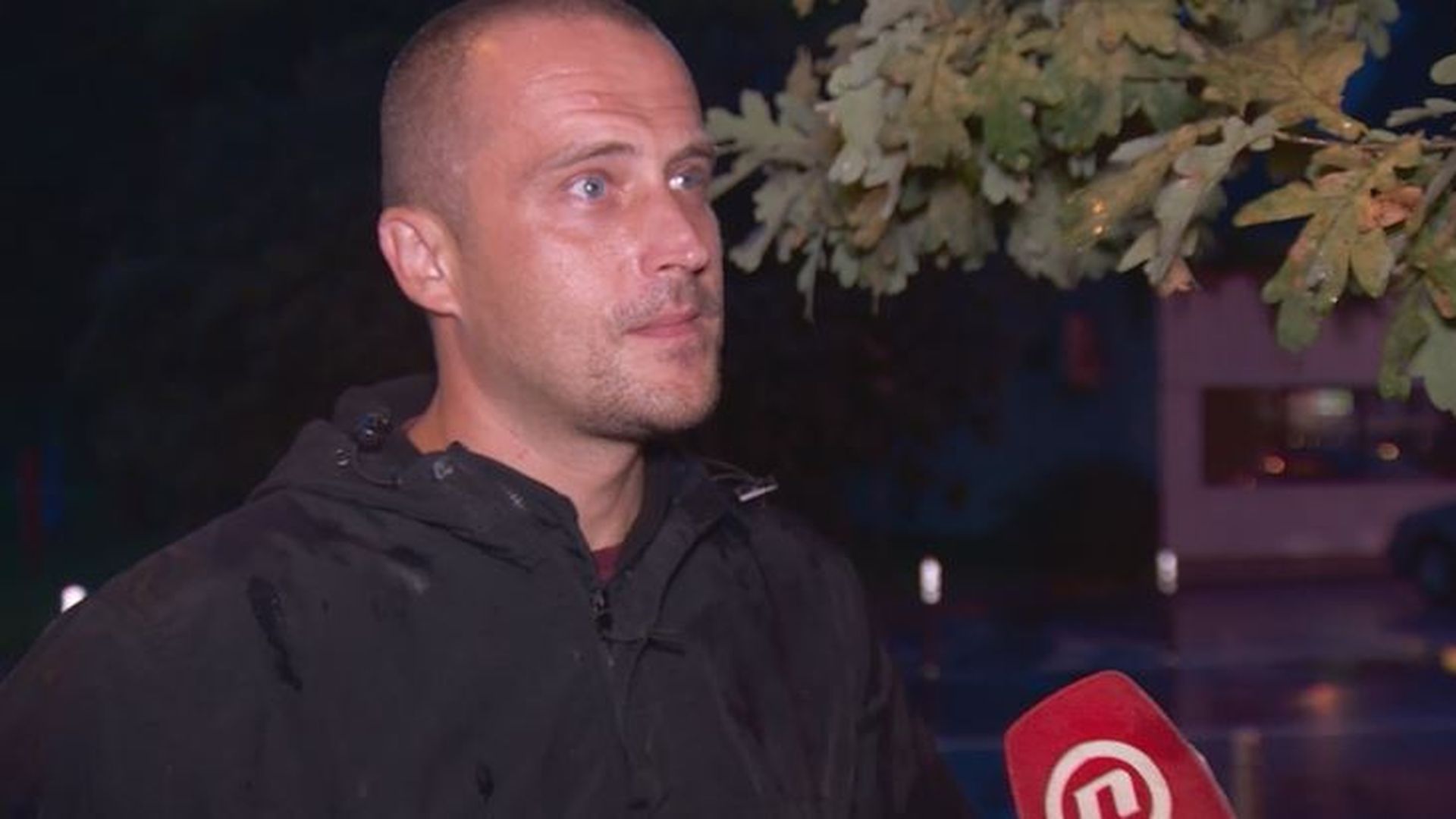 Jesu li ubodi mrežastih stjenica opasni i možemo li se ikako zaštititi?