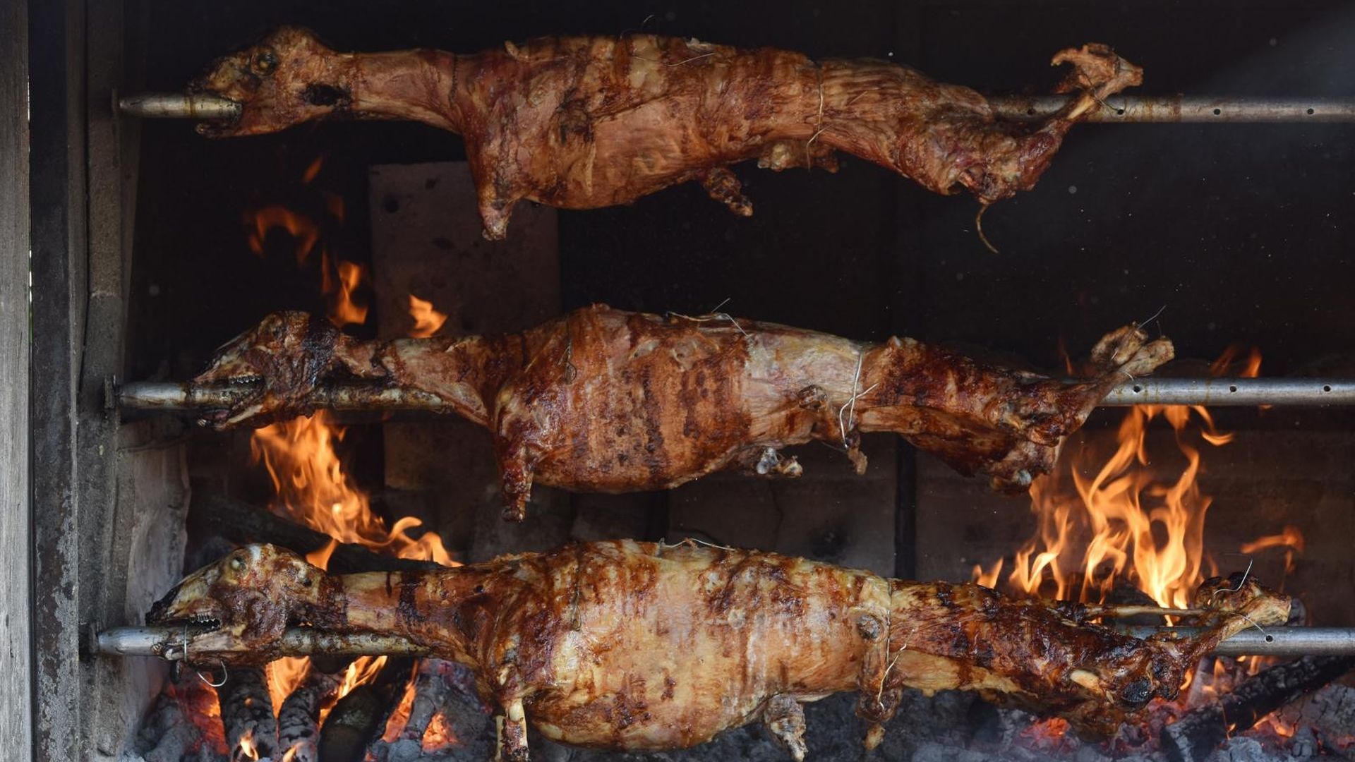 Lažna dojava: Panično zvao vatrogasce zbog požara, a kad ono – janjac ...