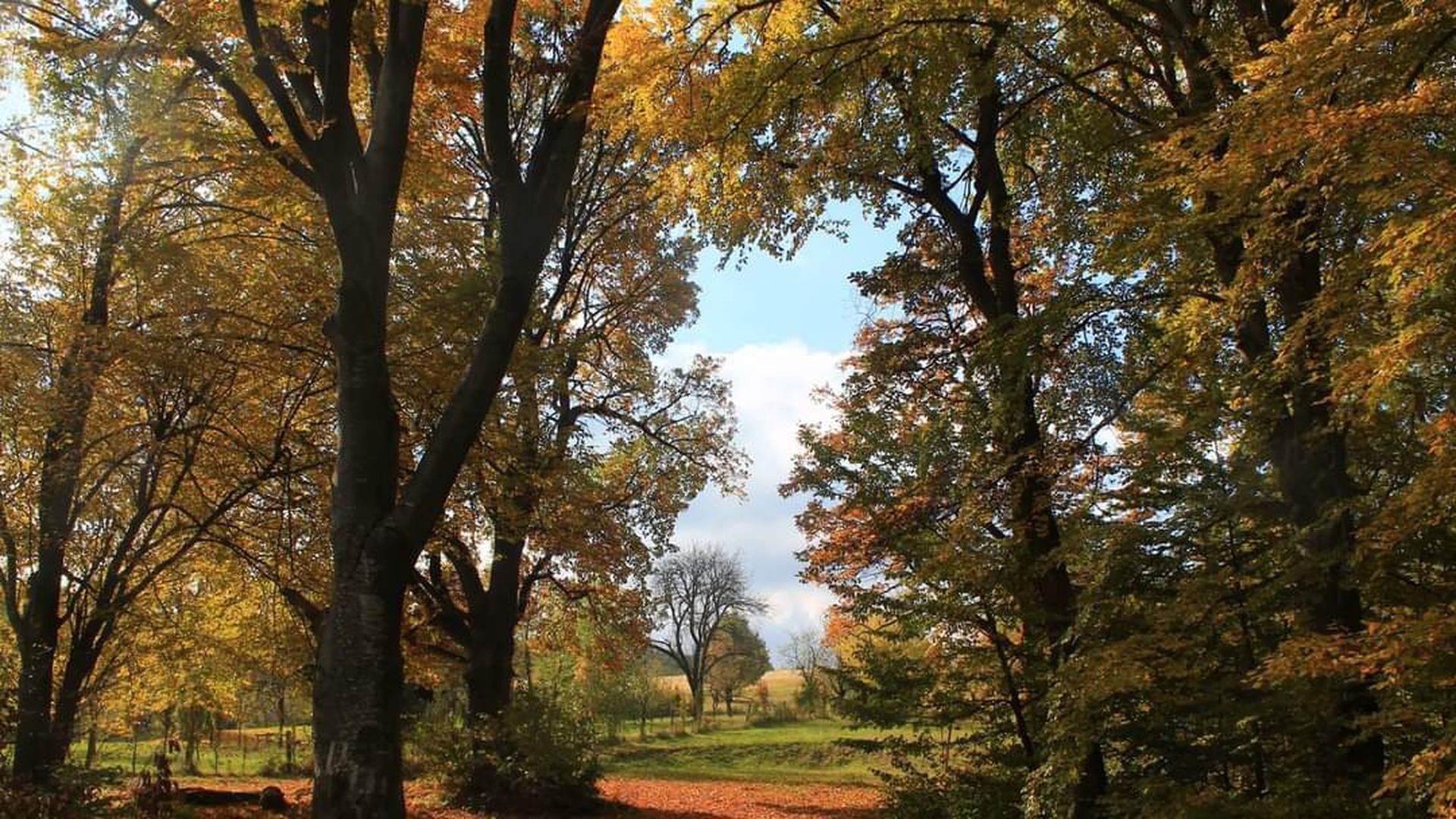 Modro oko Slavonije: Popularno izletište kod Sovskog jezera koje ...