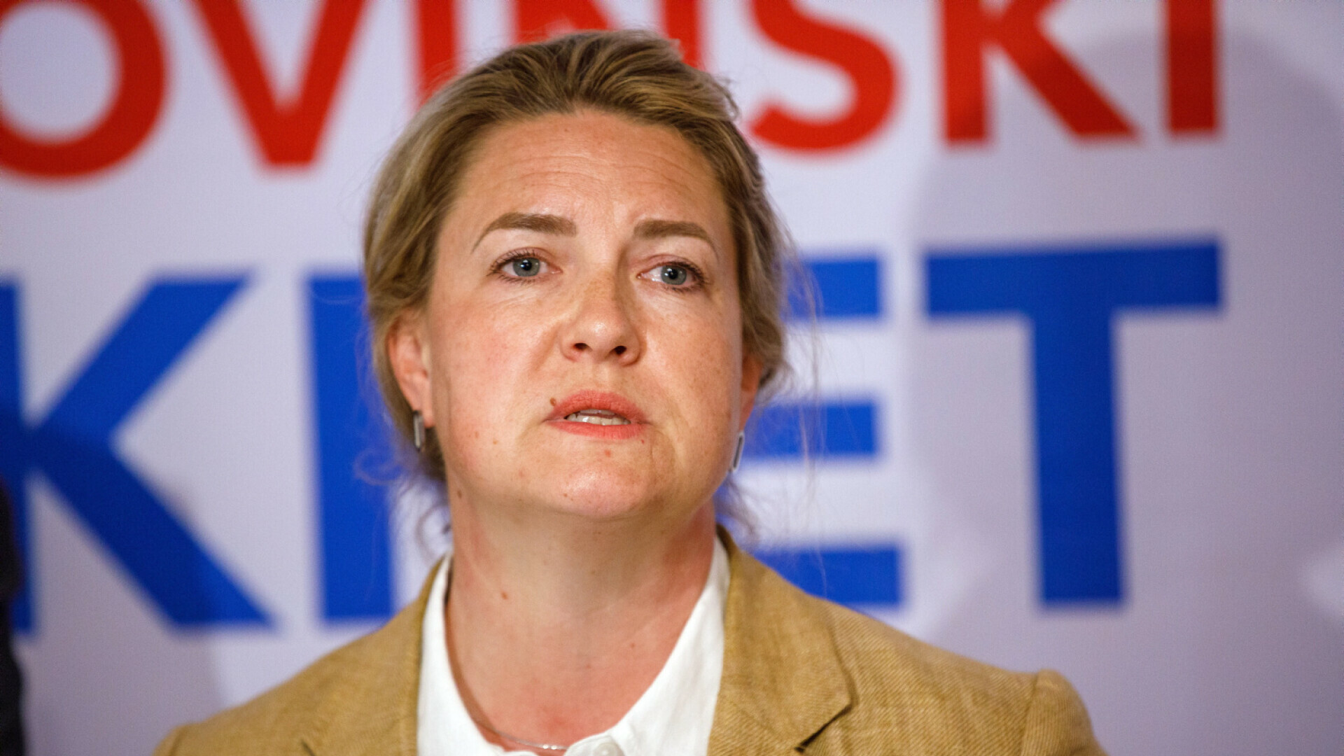 Oglasio se Domovinski pokret: "Mnogima smeta što ćemo uspjeti ...