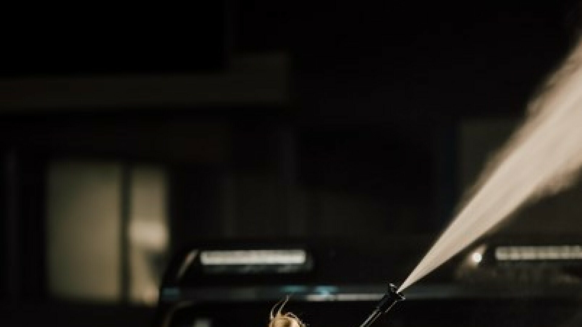 Nives Celzijus javila se iz kreveta u seksi korzetu, nije mnogo toga ostavila mašti na volju ...