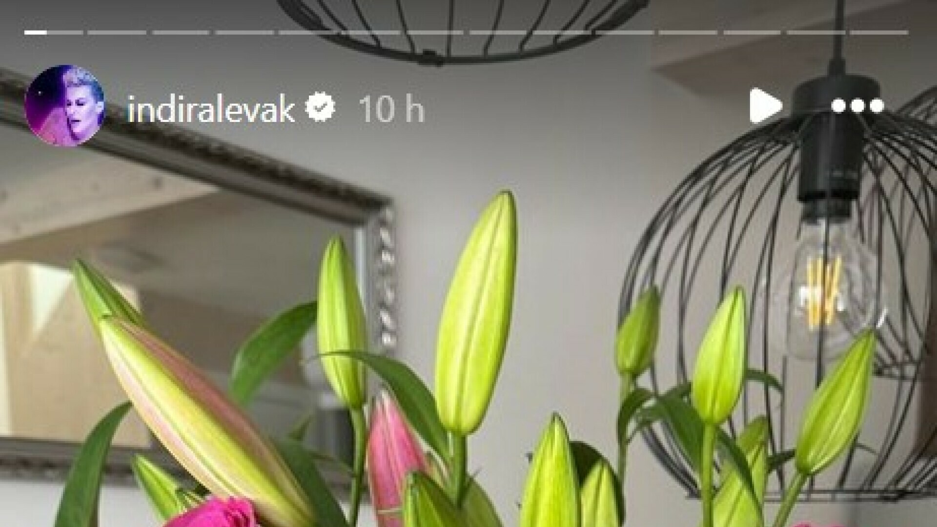 Indira Levak otkrila što je od bivšeg supruga dobila za 51. rođendan, a ...