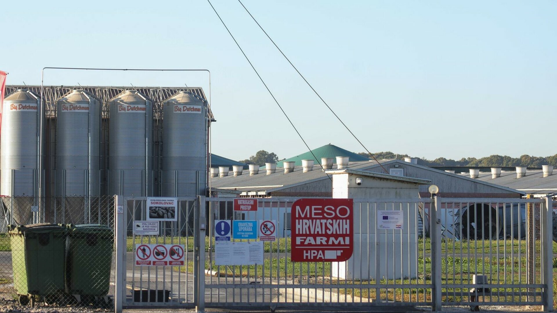 Gotovo 10 tisuća svinja bit će eutanazirano nakon pojave virusa ...