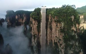 Ne dirajte nam tulipane! Nizozemci pokrenuli kampanju za zaštitu nacionalnog ponosa
