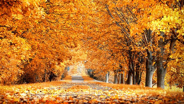 Kapetanica iz Hrvatske za Dnevnik Nove TV o napadu dronova na ...