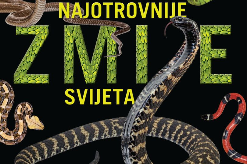 Od mambe do kobre: Najotrovnije zmije svijeta u Zagrebu - Punkufer.hr