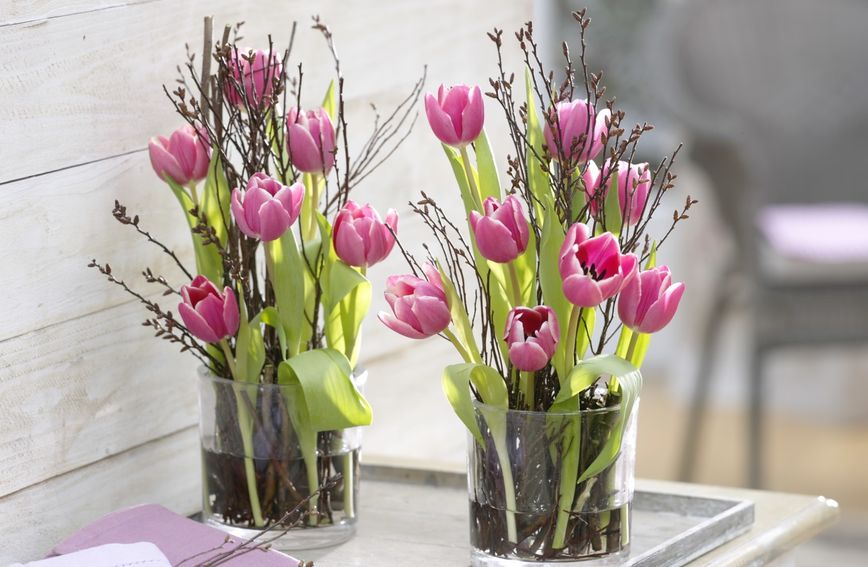 Baš su posebni! 10 ideja kako naglasiti svu ljepotu tulipana